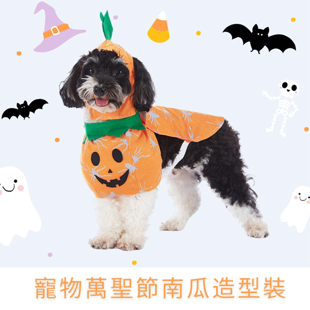 Ray Fair 美好生活系列 萬聖節限定 寵物搞怪橘色南瓜裝 (尺寸任選) | 熱銷推薦 | 康是美網購eShop