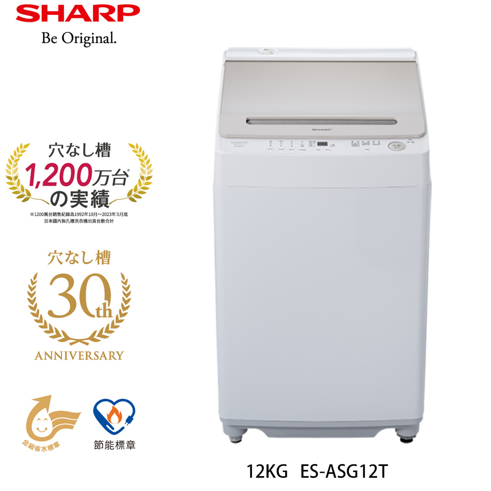 【SHARP夏普】12公斤無孔槽變頻直立式洗衣機(ES-ASG12T) | 熱銷推薦 | 全家行動購